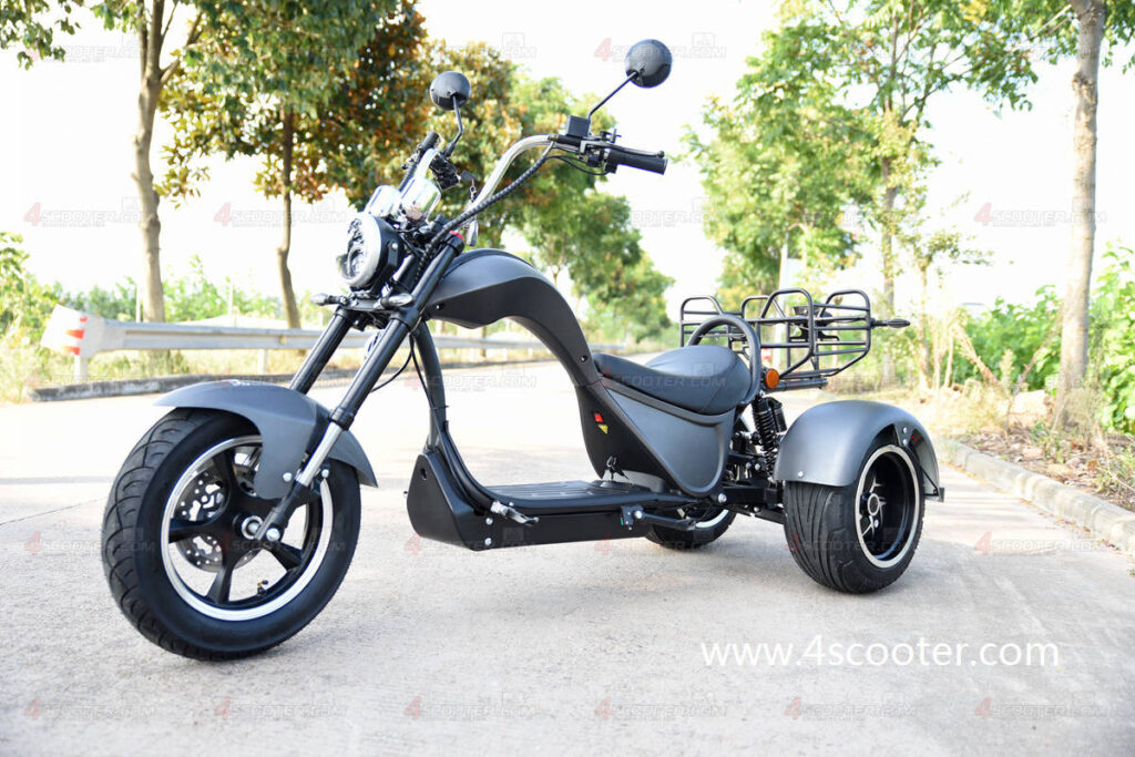 3 Wheels Citycoco - Wiztem Industry Company Limited.
