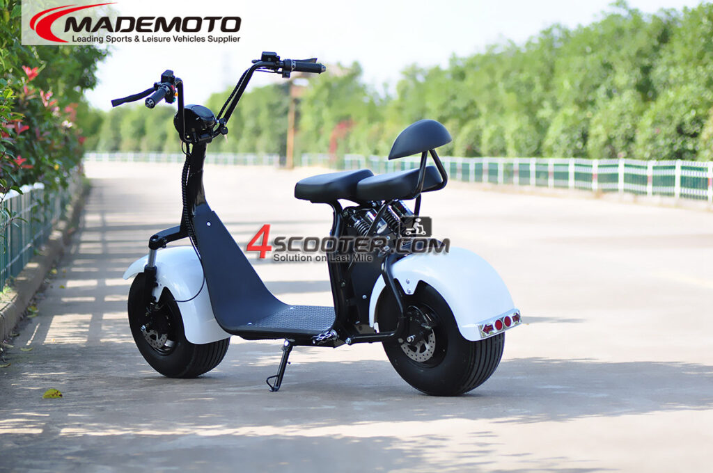 EEC Vehicles - Wiztem Industry Company Limited.