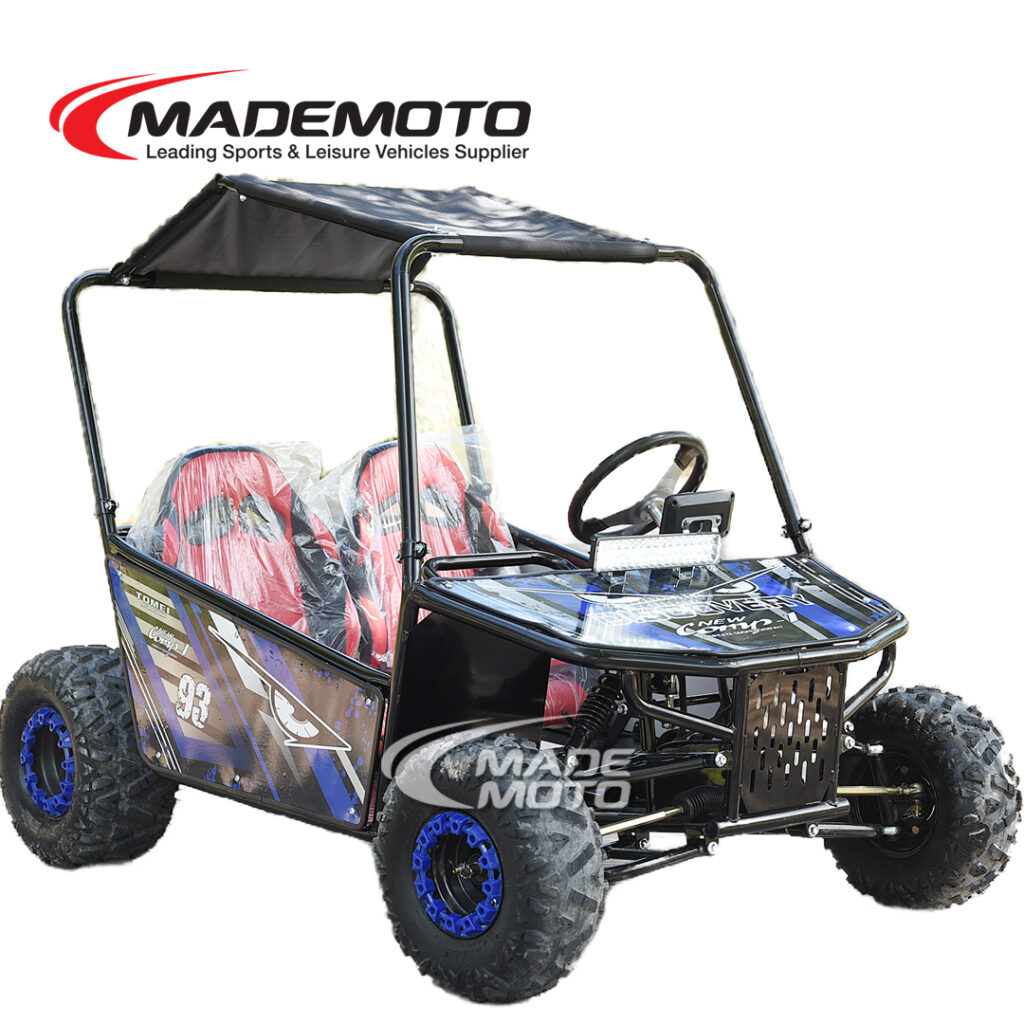 Buggy Go Kart - Wiztem Industry Company Limited.